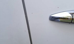 Why Quality Issues Arise and How to Tackle Them